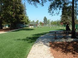 Butcher Dog Park San Jose CA